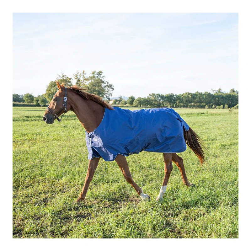 Horseware Horseware Turnout Standard Neck 900D 0G Turnout Rug (Blue)