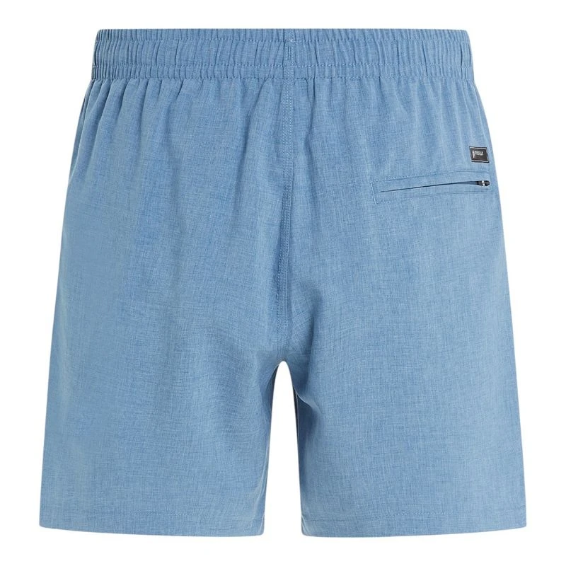Protest Mens Davey Swimwear (Blue) | Sportpursuit.com