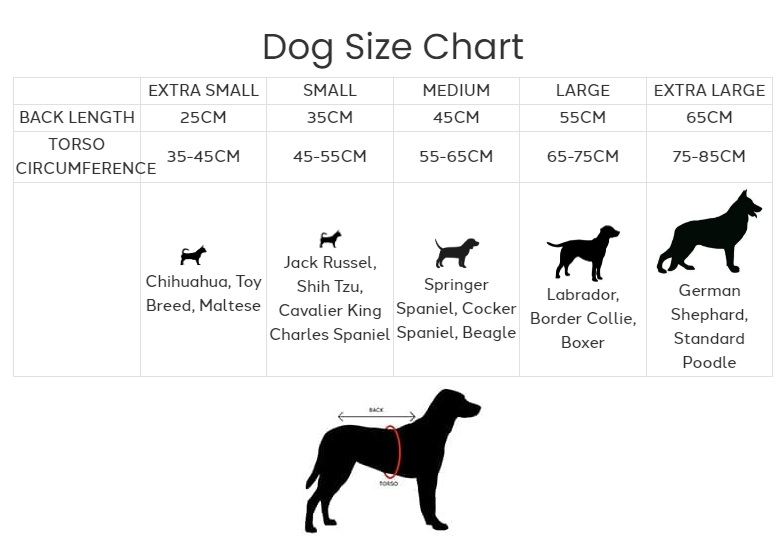 Regatta Size Guide